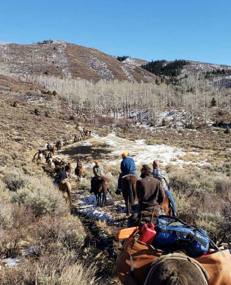Colorado Rifle Elk Hunts, Full-Guided Bull + Cow Elk Hunting Trips