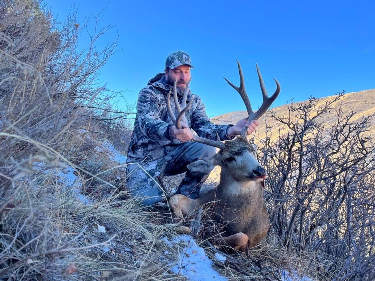 Mule Deer Hunts Colorado Units 22, 32, 33 | Rifle, Archery, Muzzleloader