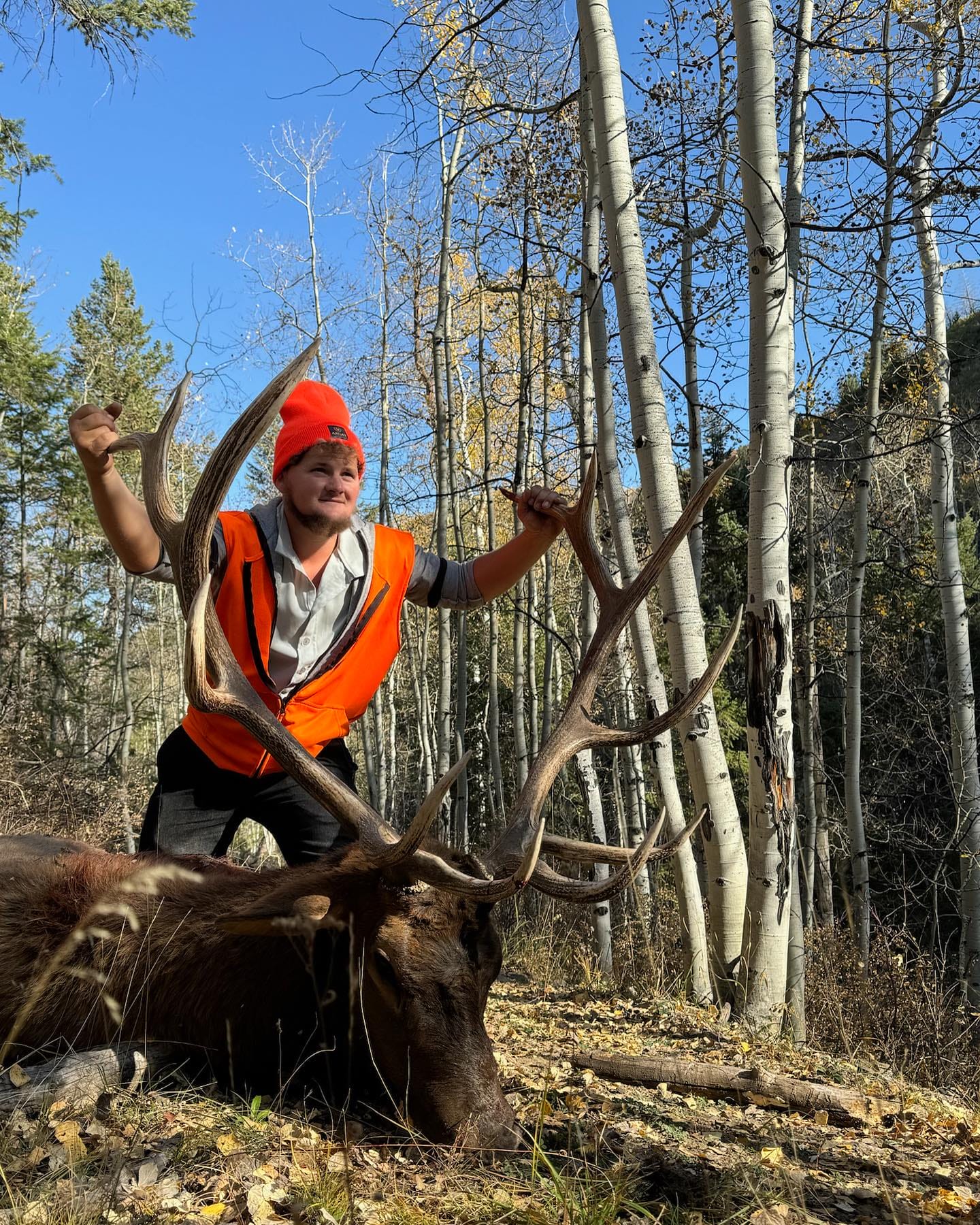 Elk Hunting Outfitter in CO Units 22, 33, 42 | Rifle, Archery, Muzzy